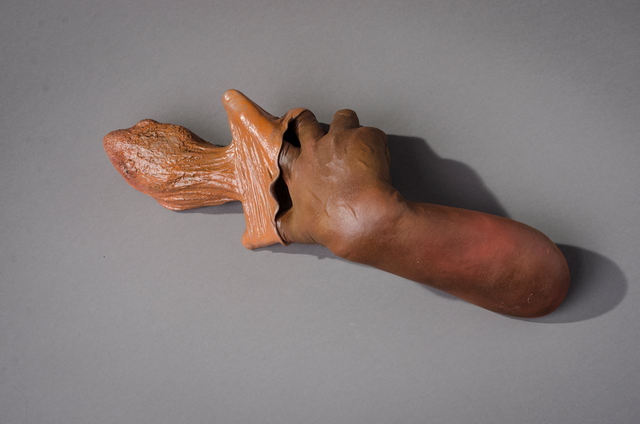 Tortuga | Hieronymus Objects