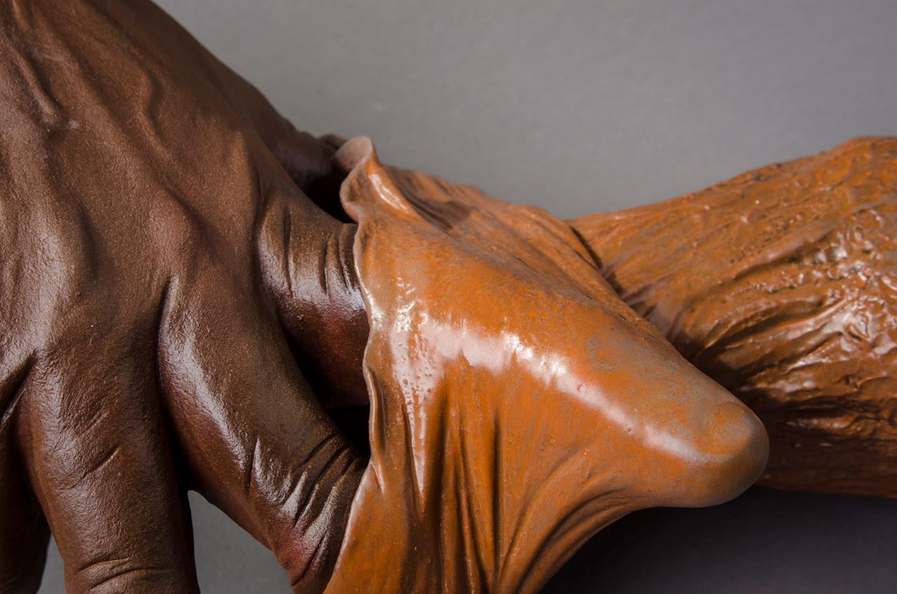 Tortuga | Hieronymus Objects