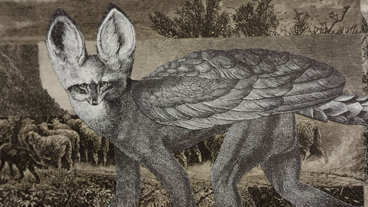 Chimerical | Hieronymus Objects