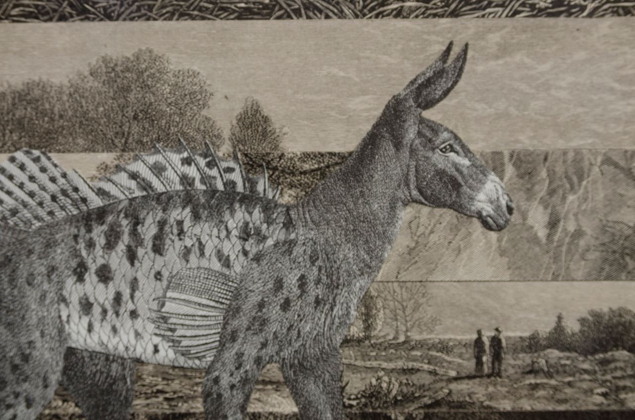 Chimerical | Hieronymus Objects