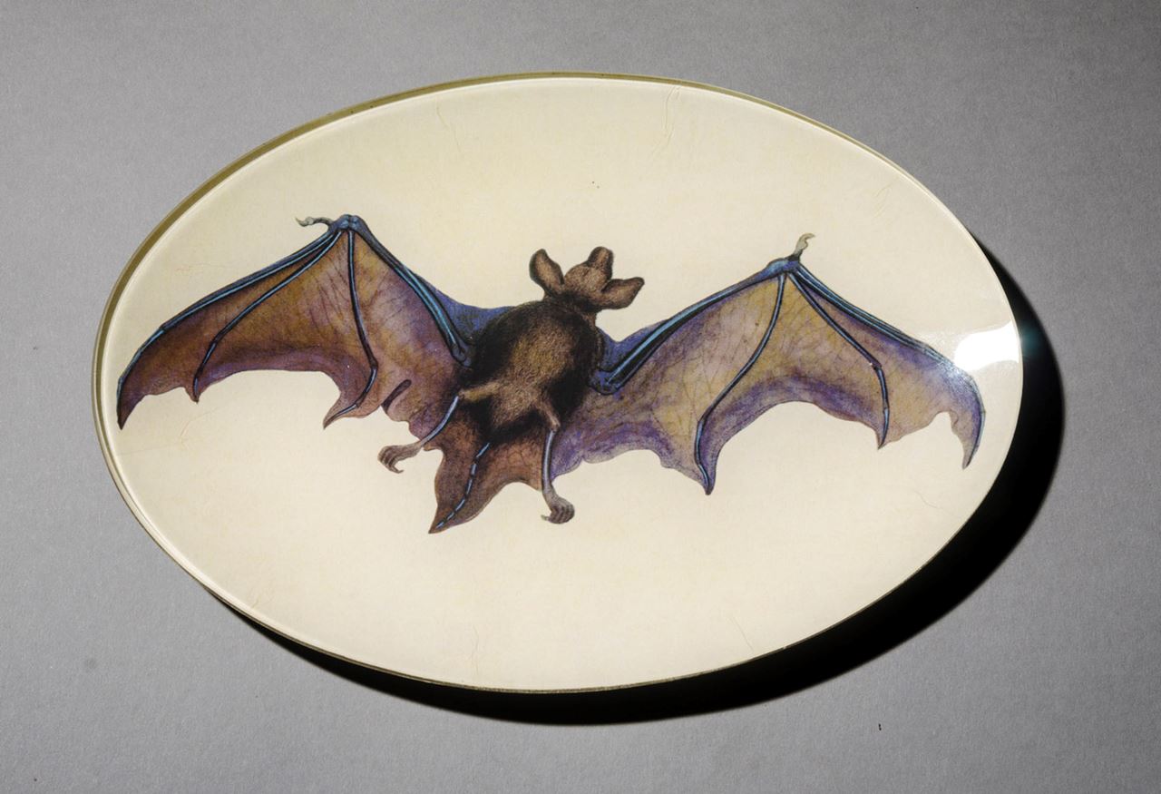 Bat Plate | Hieronymus Objects