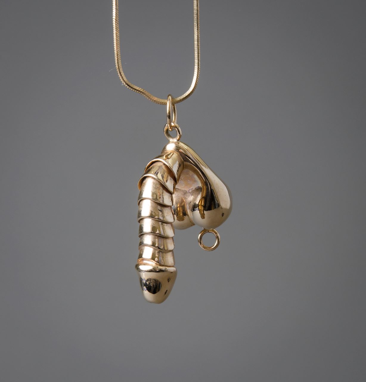 Erectable Penis Pendant Necklace Hieronymus Objects