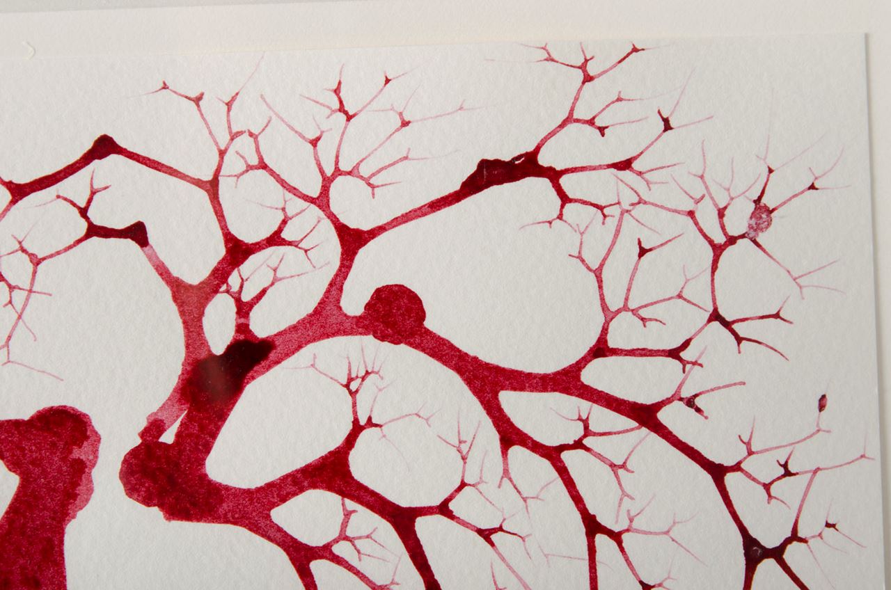 Red Mold | Hieronymus Objects