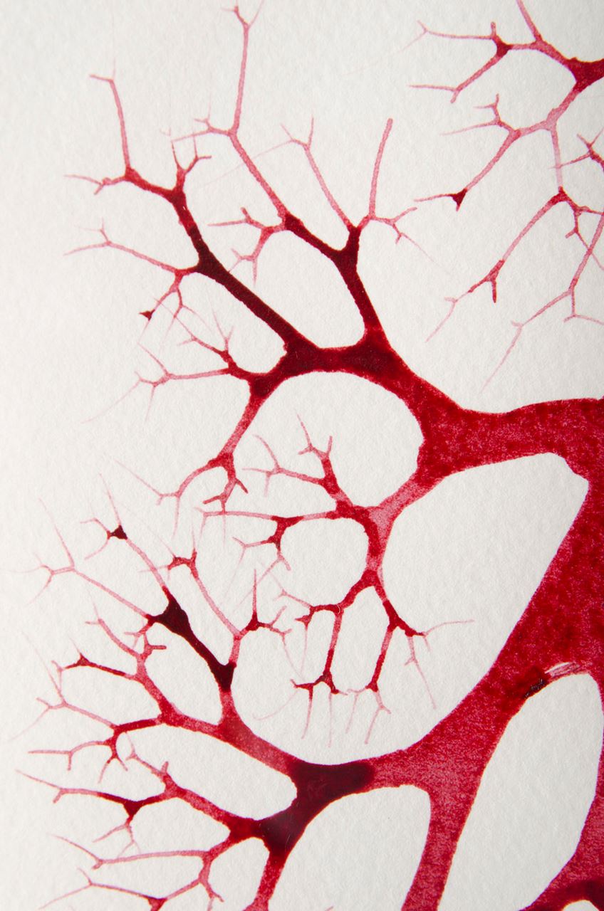 Red Mold | Hieronymus Objects