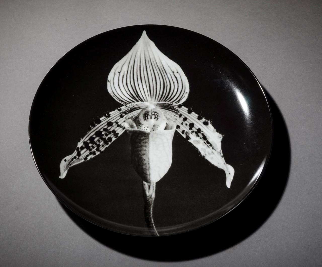 Orchid Plate | Hieronymus Objects