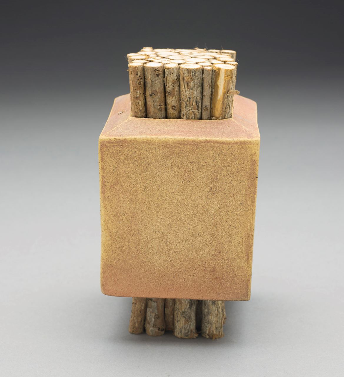 008B Twigs | Hieronymus Objects