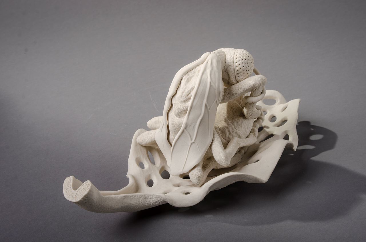 Anonymous Relationship | Hieronymus Objects