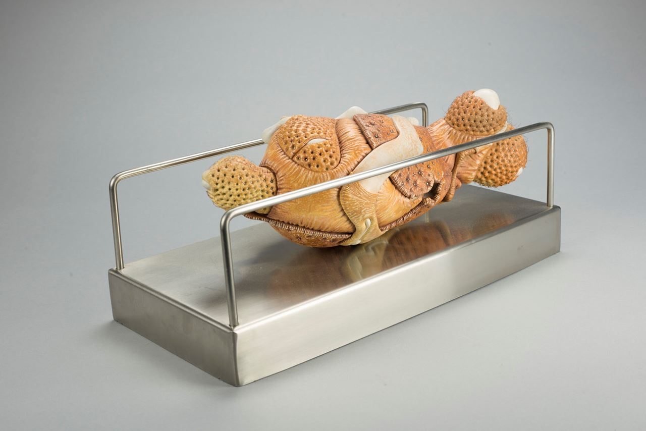 Squeeze | Hieronymus Objects