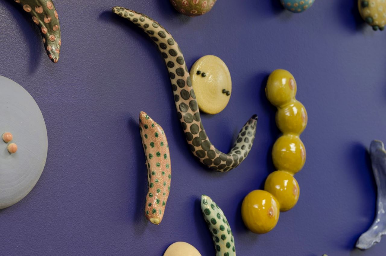 Bacteria, Diatoms, and Cells | Hieronymus Objects