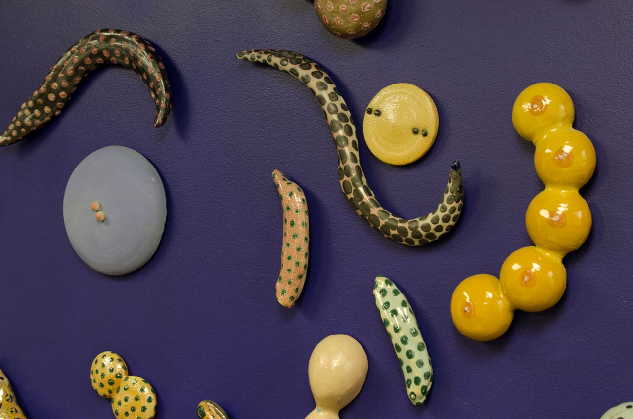 Bacteria, Diatoms, and Cells | Hieronymus Objects