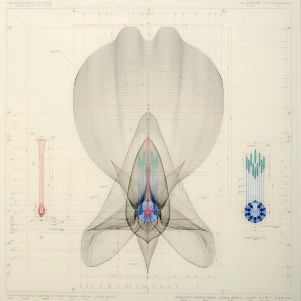 Hieronymus Objects